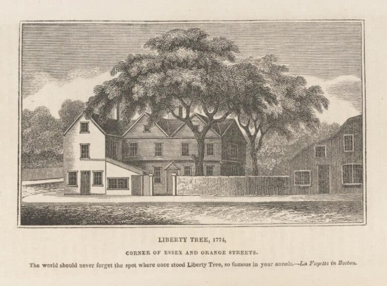 How Boston's Liberty Tree Became the Heartbeat of a Revolution
