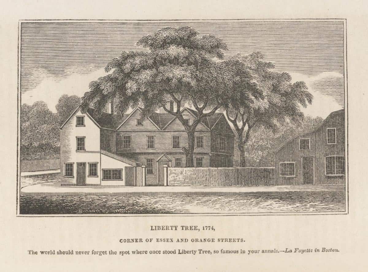 How Boston's Liberty Tree Became the Heartbeat of a Revolution