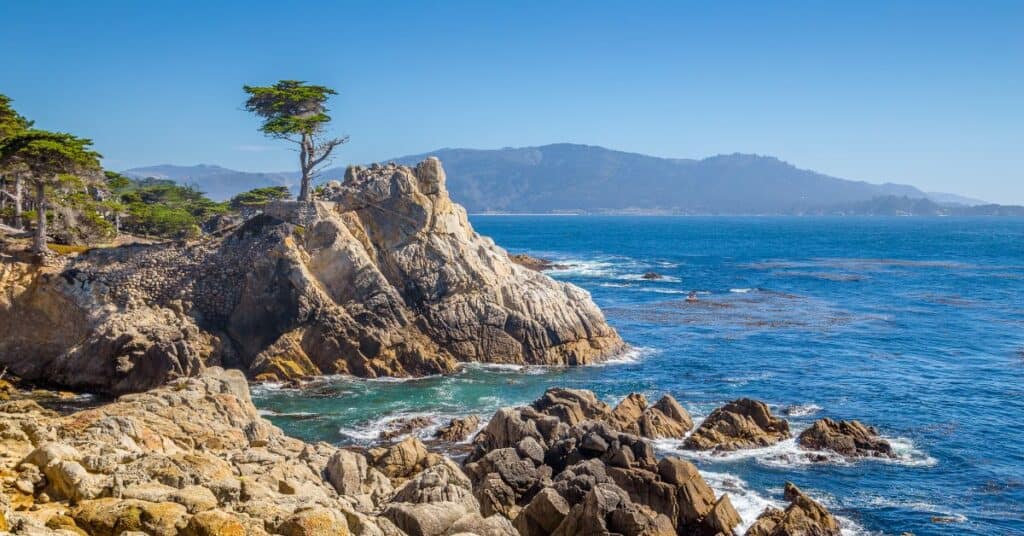 The Lone Cypress - How Pebble Beach’s Most Photographed Tree Has Defied ...