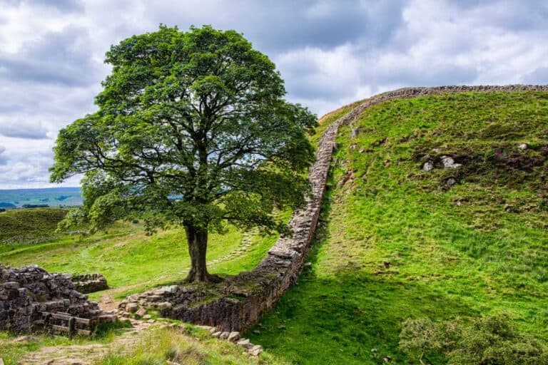 From Robin Hood to the Chainsaw - The Dramatic End of a Beloved Icon