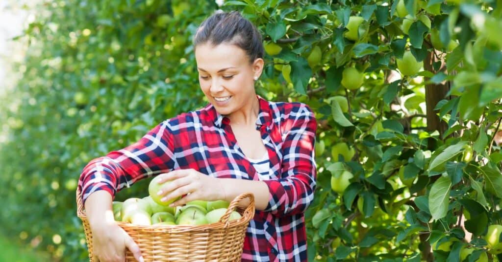 7 Types of Fruit Trees That Will Thrive in Kansas