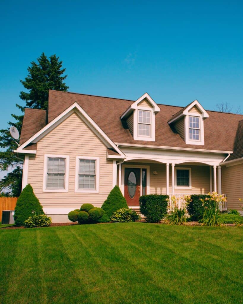 11 Best Eye-Catching Shrubs, Bushes & Small Trees for the Front of Your ...