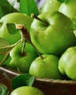 Comprehensive Granny Smith Apple Tree Care Guide & Bonus Tip